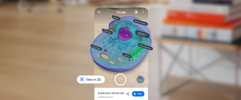 Google Search adds new 3D and AR options with Apollo 11, Human Anatomy ...